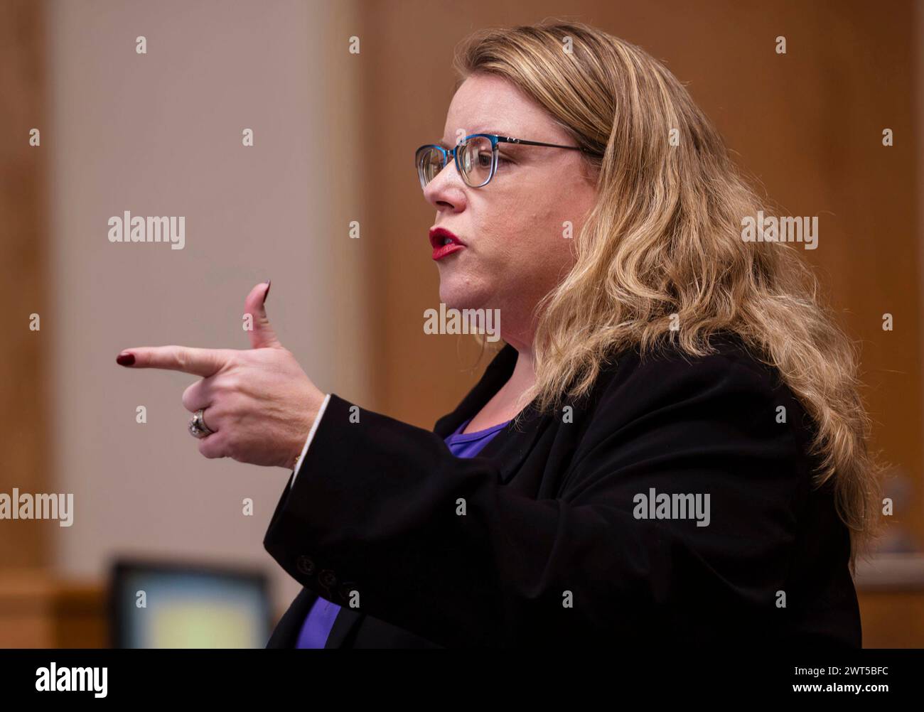 Defense attorney Megan Mitsunaga speaks to the jury during closing ...