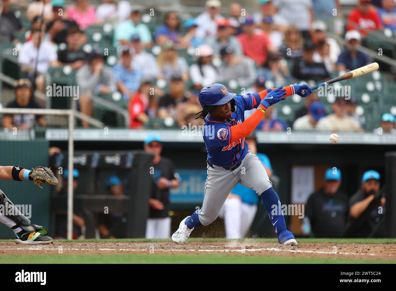 New York Mets Luisangel Acuña #73 bats during the ninth inning of a ...