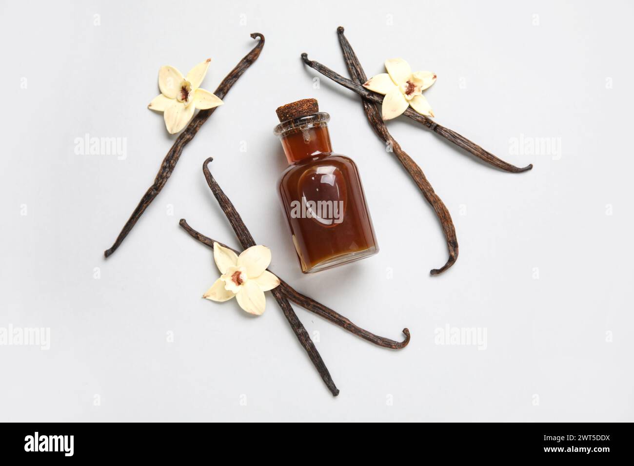 Vanilla extract in bottle with vanilla pods and flowers on pink ...