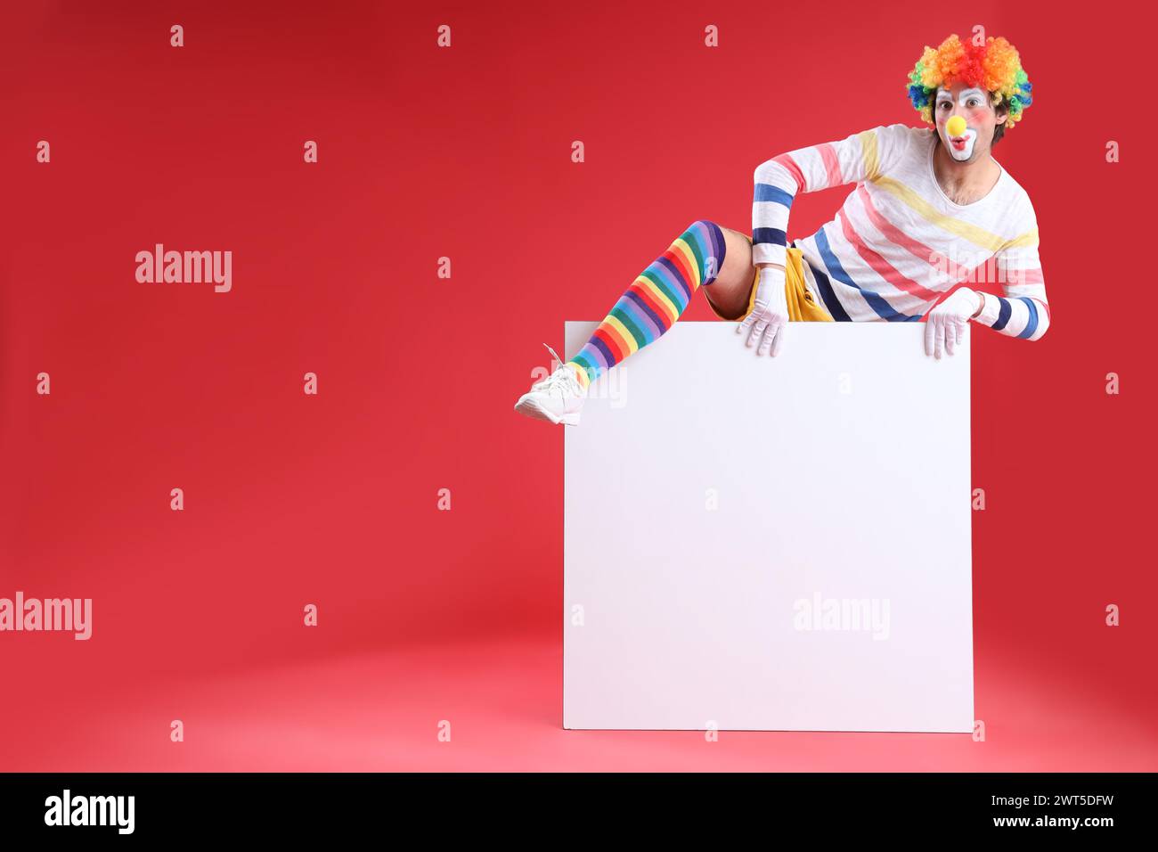 Portrait of clown with blank poster on red background. April Fool's day ...