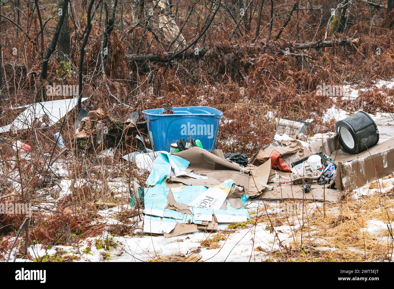 Litter in the forest. Household garbage renovation material dumped in ...