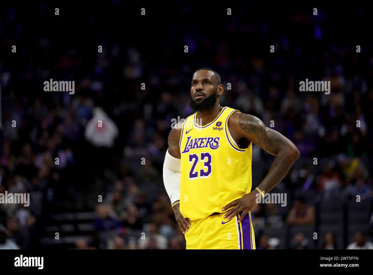 Los Angeles Lakers forward LeBron James (23) stands on the court during ...