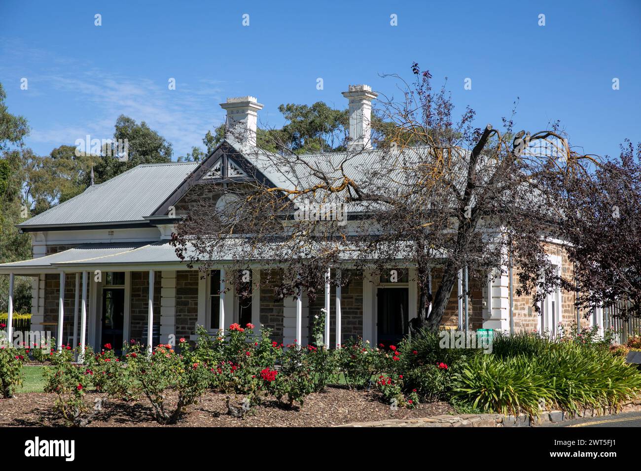 Saltram wine hi-res stock photography and images - Alamy