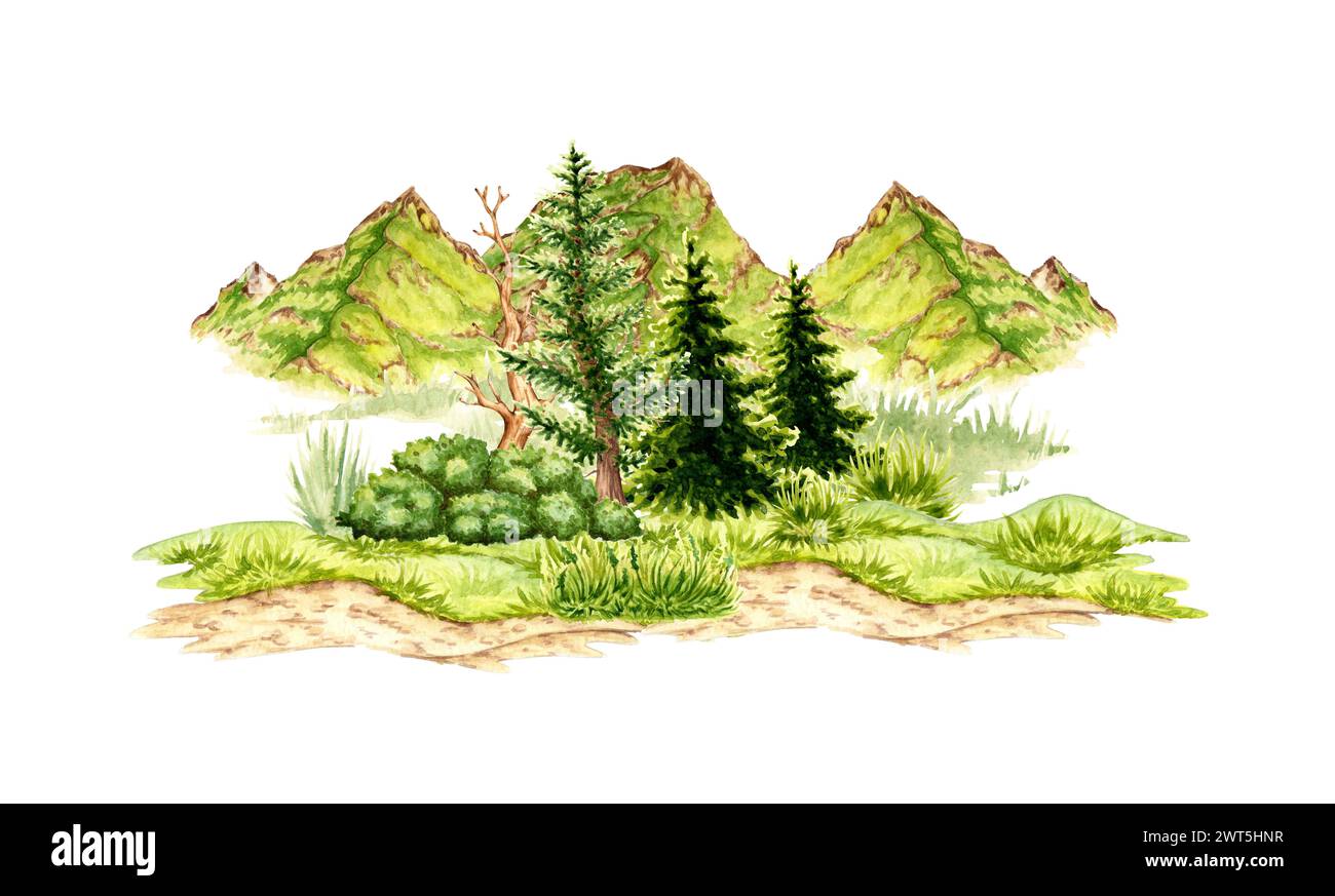 Watercolor illustration of natural landscape. Wildlife forest scene ...