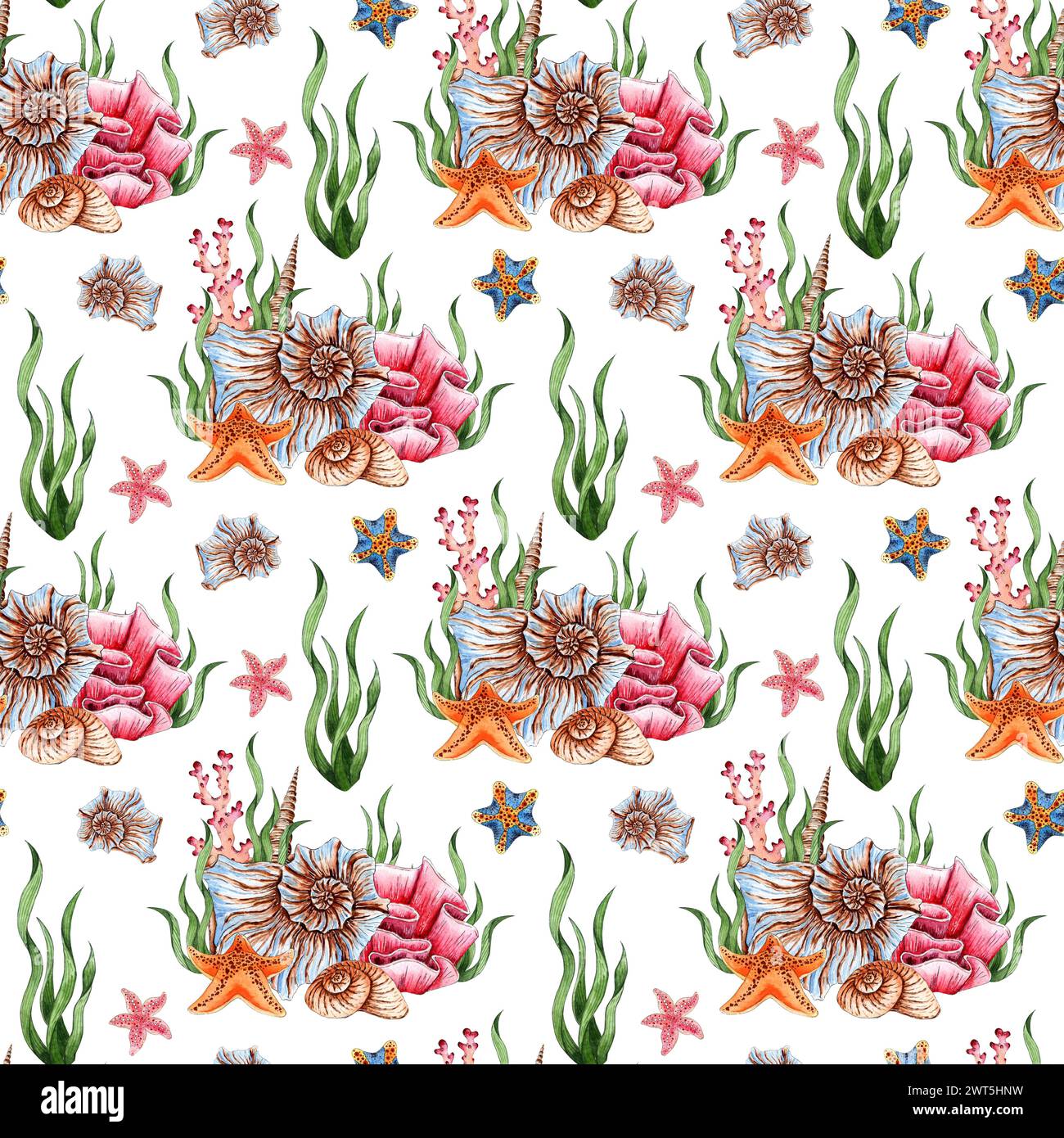 Watercolor illustration pattern on a marine theme. Seashells, starfish, corals, algae isolated ...