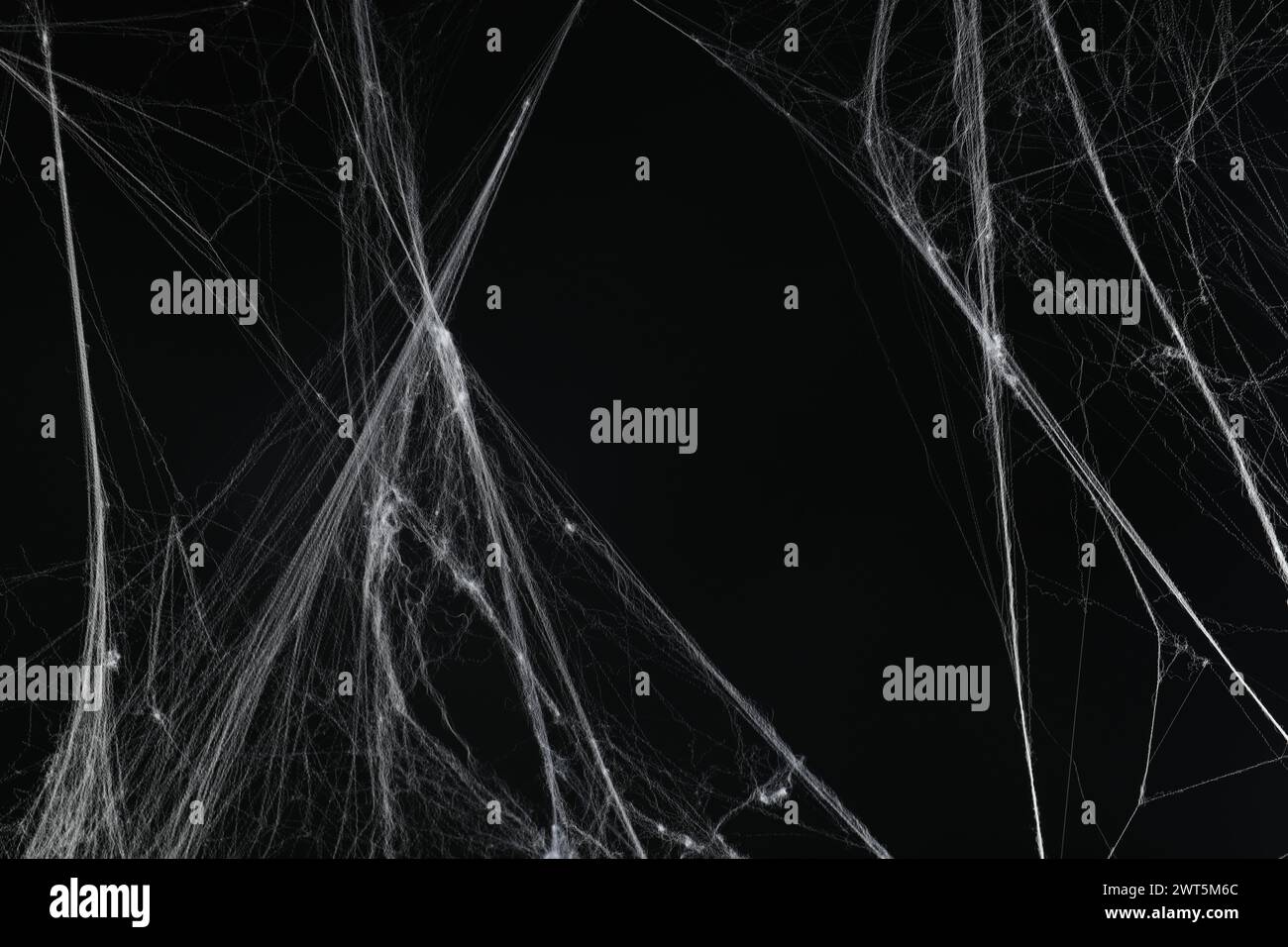 Spider web on black hi-res stock photography and images - Alamy