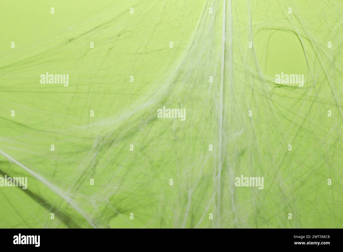 Creepy white cobweb hanging on green background Stock Photo - Alamy