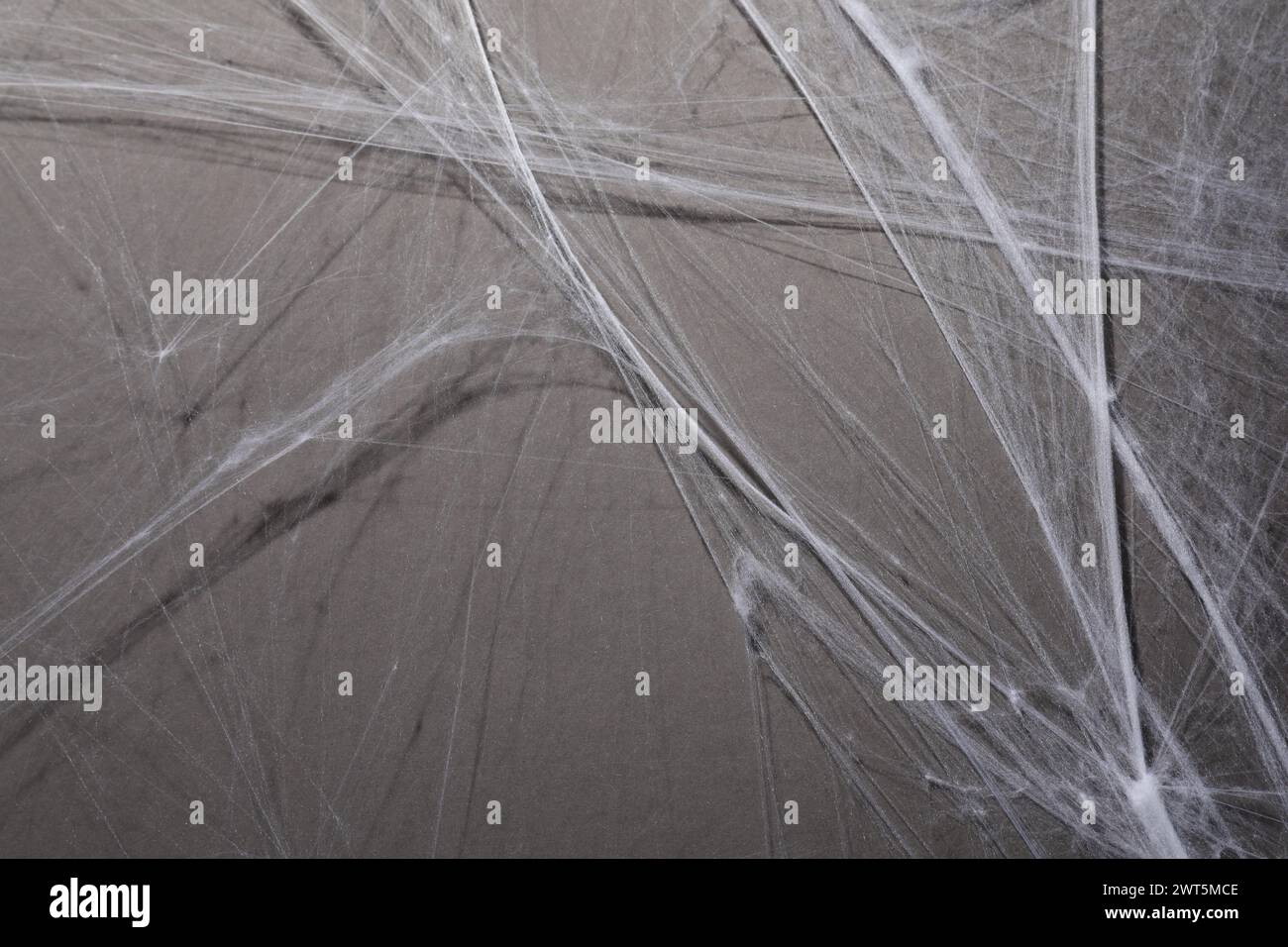 Creepy white cobweb hanging on gray background Stock Photo - Alamy