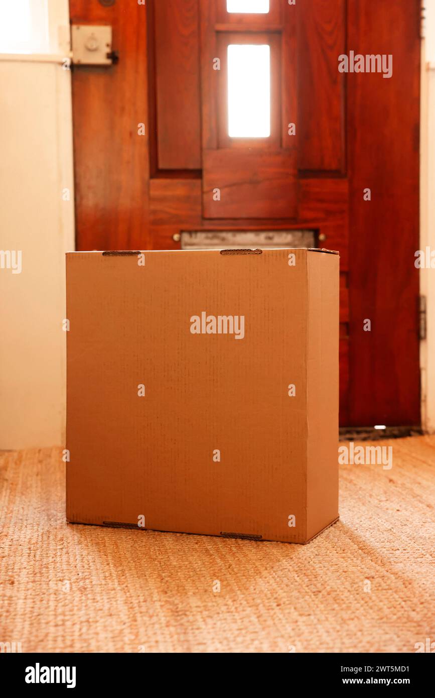 Delivery service. Cardboard on rug near wooden door indoors Stock Photo ...