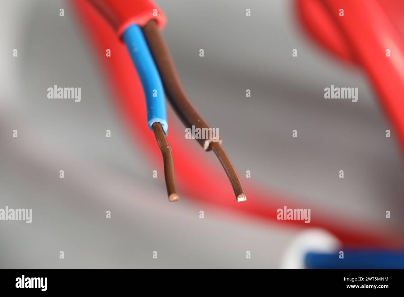 Colorful electrical wire on blurred background, closeup Stock Photo - Alamy