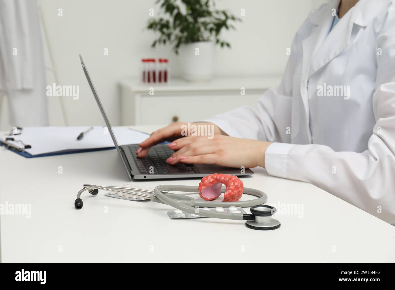 Endocrinologist working at table, focus on stethoscope and model of ...