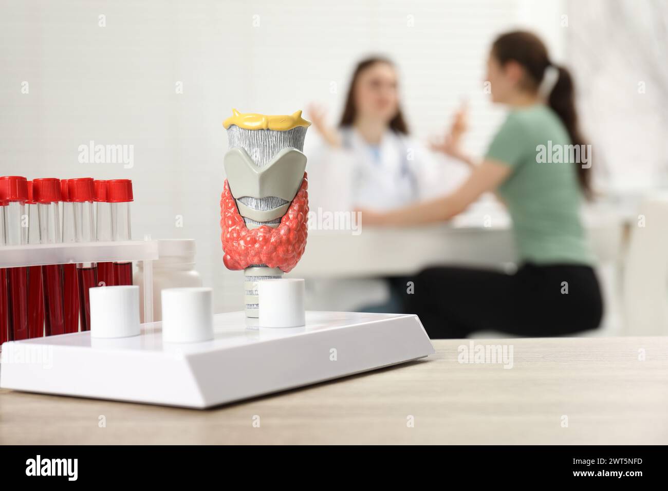 Endocrinologist examining patient at clinic, focus on model of thyroid ...