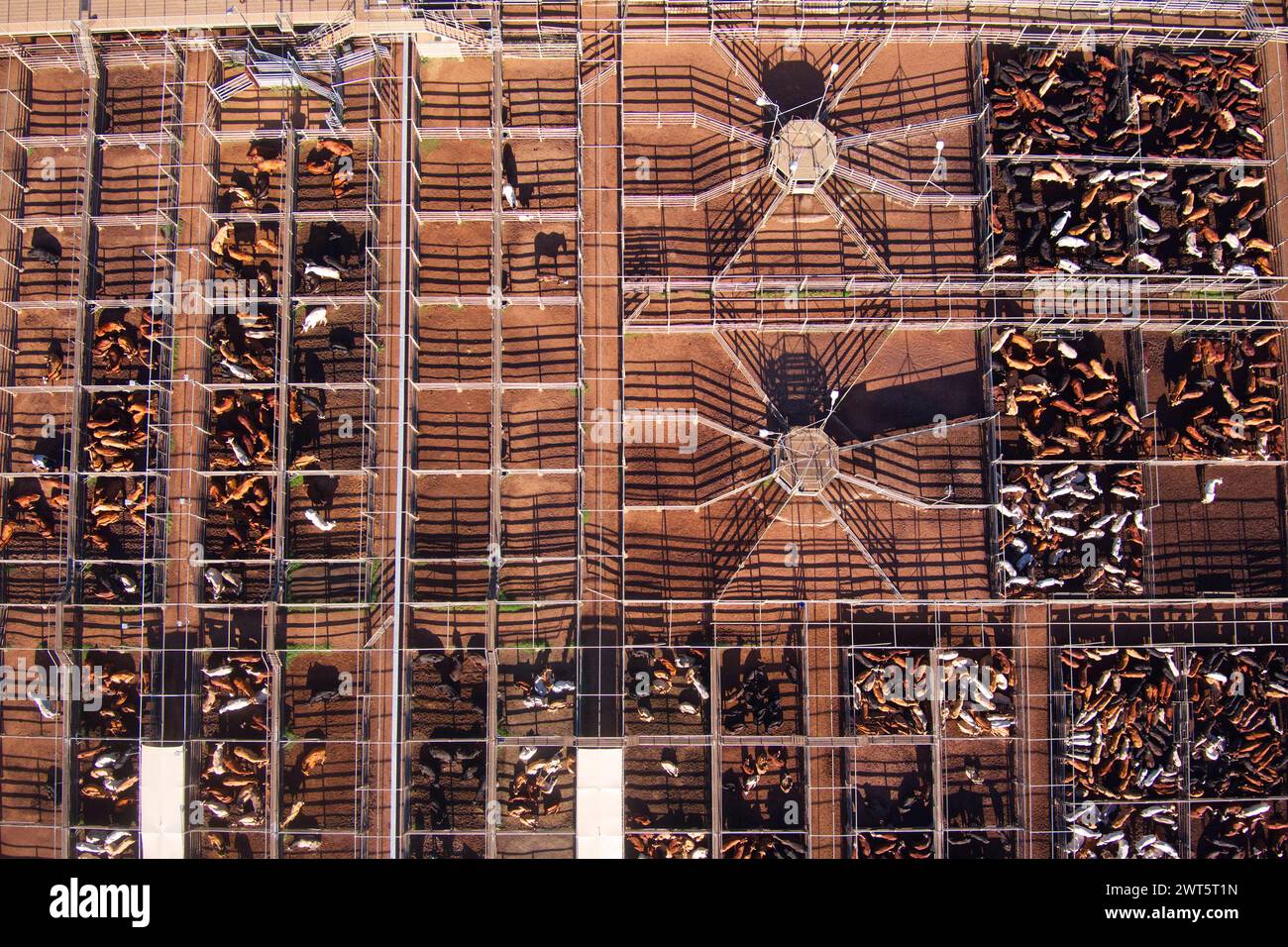 Aerial of The Roma Saleyards Australia’s largest cattle selling centre ...