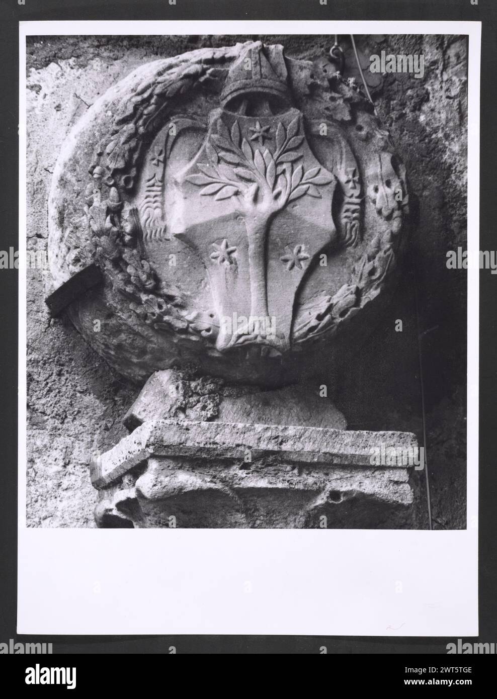 Umbria Terni Amelia Palazzo Comunale1. Hutzel, Max 1960-1990 Medieval ...