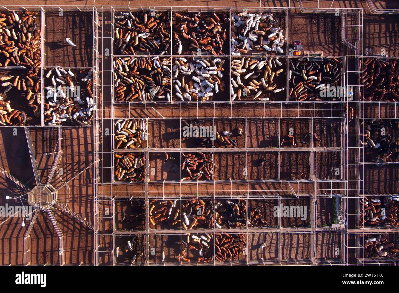 Roma Saleyards aerial of Australia’s largest cattle selling centre ...