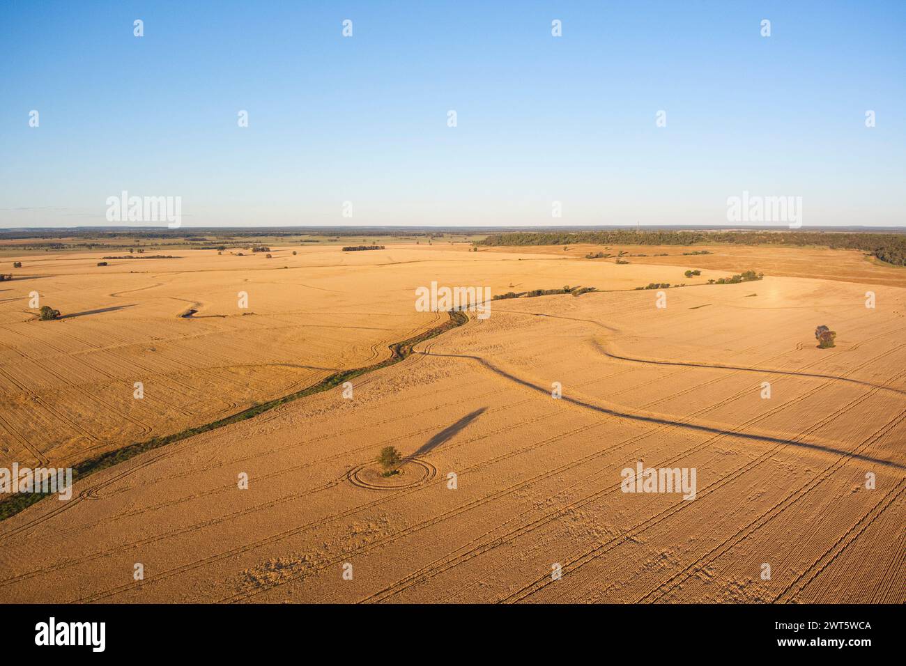 Aerial of wheat fields just before harvest near Wallumbilla on the ...