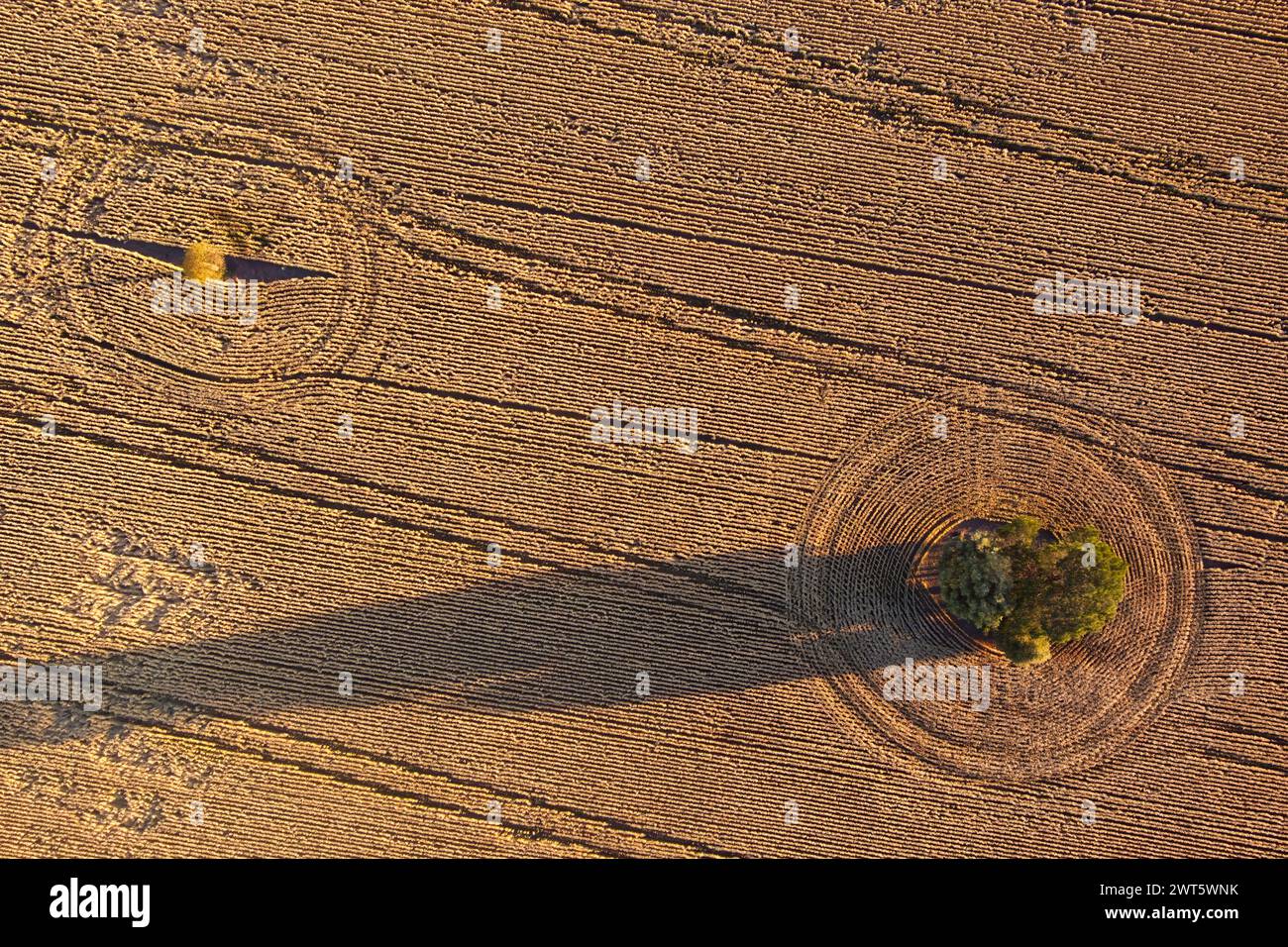 Aerial of patterns in wheat fields ready for harvesting at Wallumbilla ...