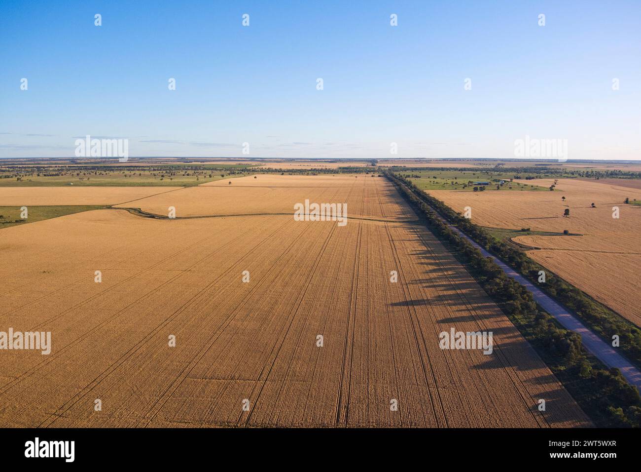 Aerial of rural country road passing though wheat fields near ...
