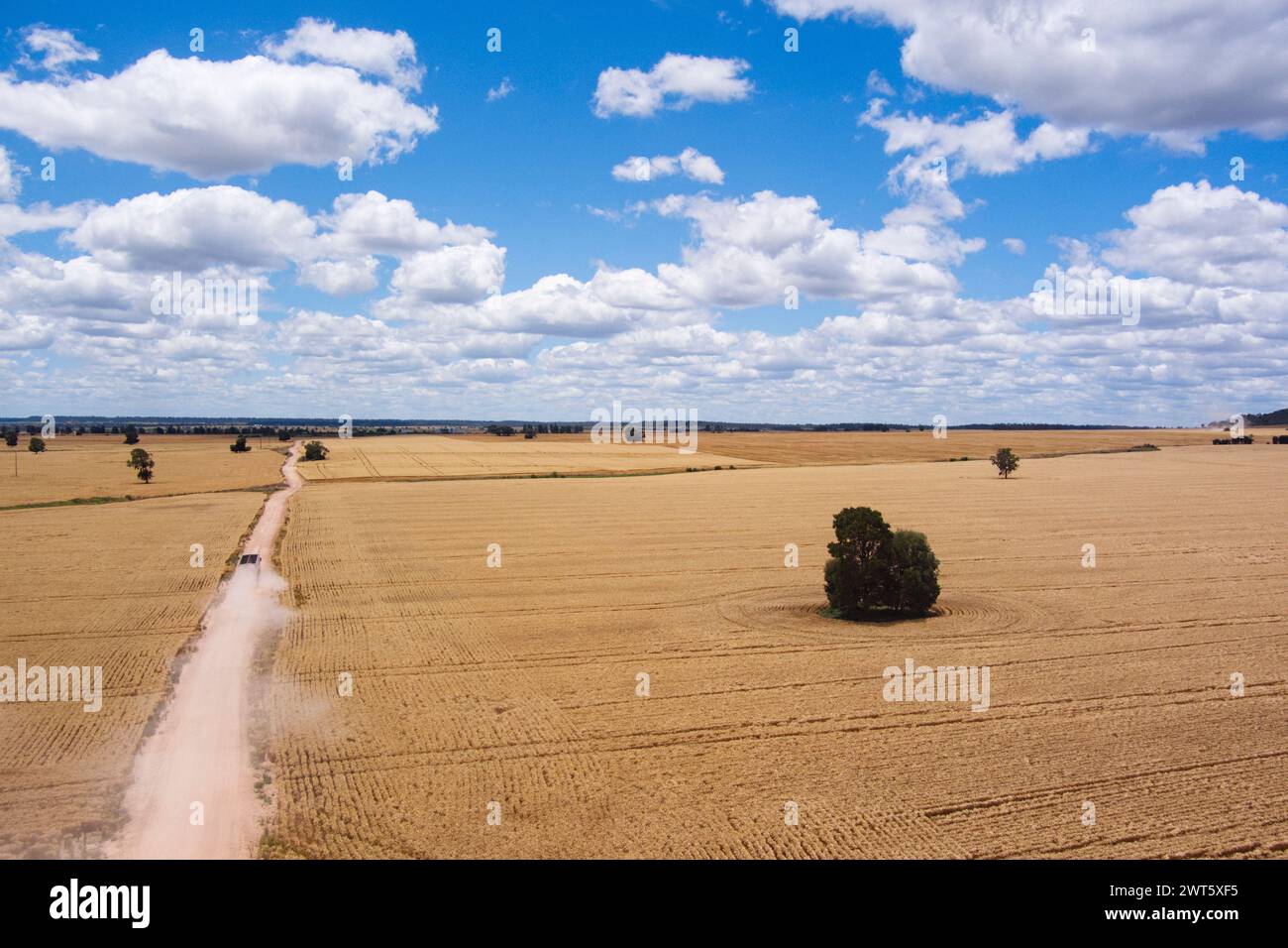 Aerial of rural road passing through wheat fields near Wallumbilla on ...