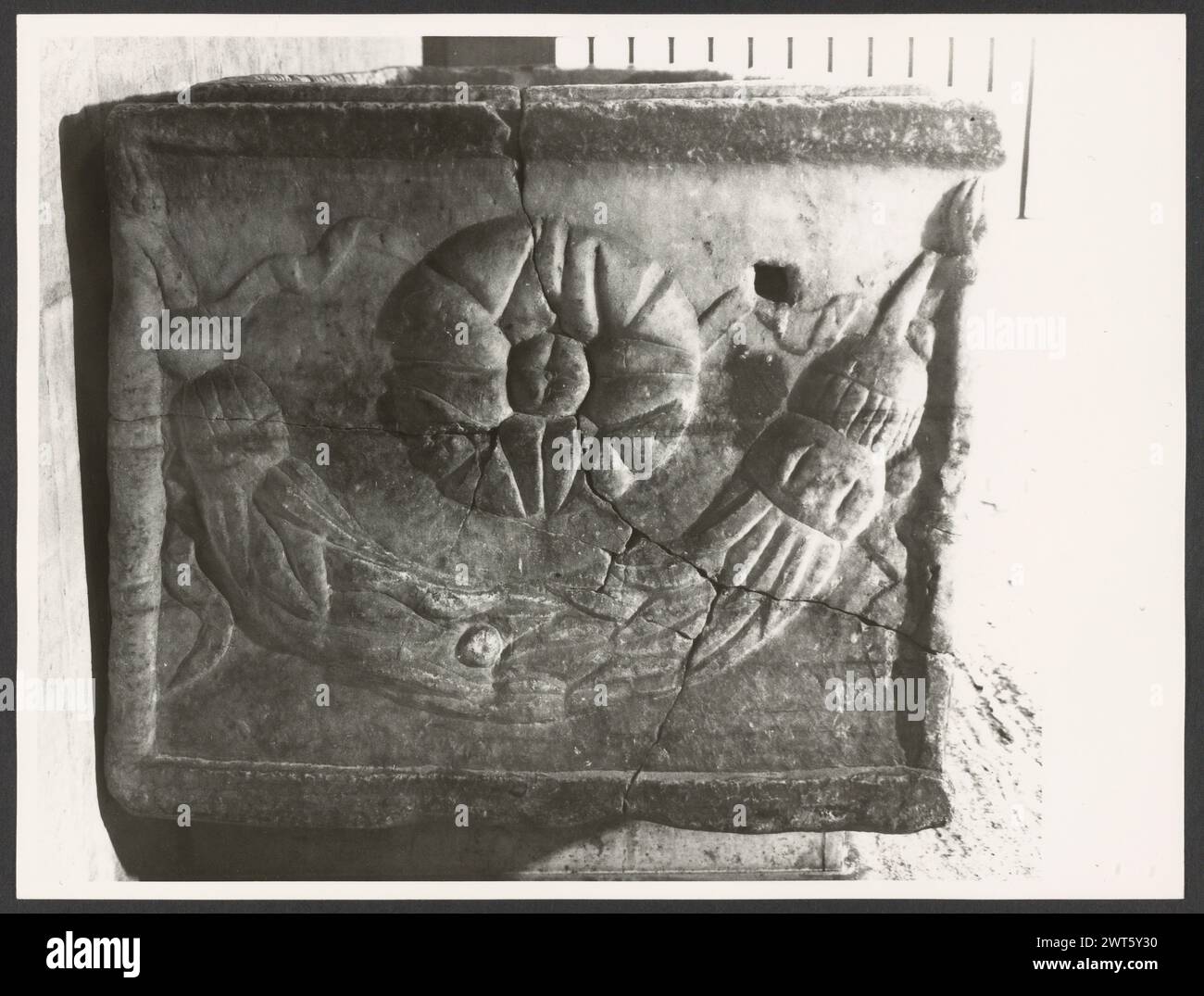 Lazio Latina Terracina Museo Archeologico14. Hutzel, Max 1960-1990 ...