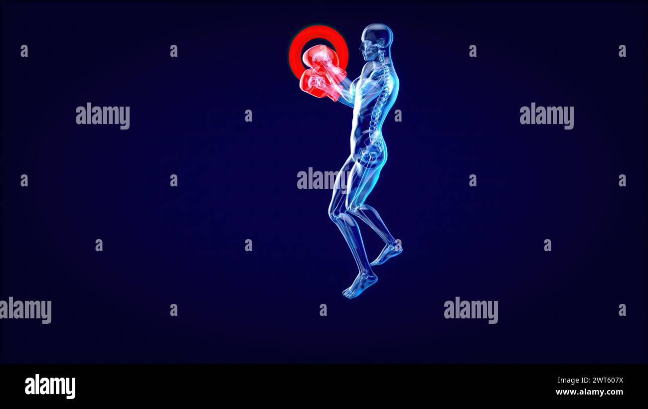 Skeleton with boxing gloves hi-res stock photography and images - Alamy