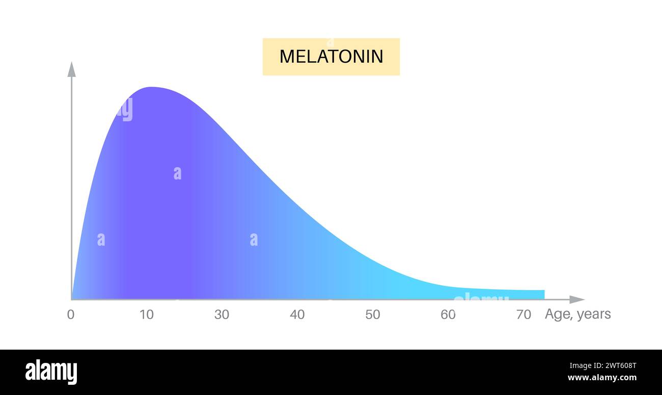 Melatonin dependence on age in the human body, illustration. Melatonin ...