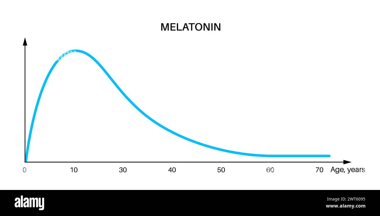 Melatonin dependence on age in the human body, illustration. Melatonin ...