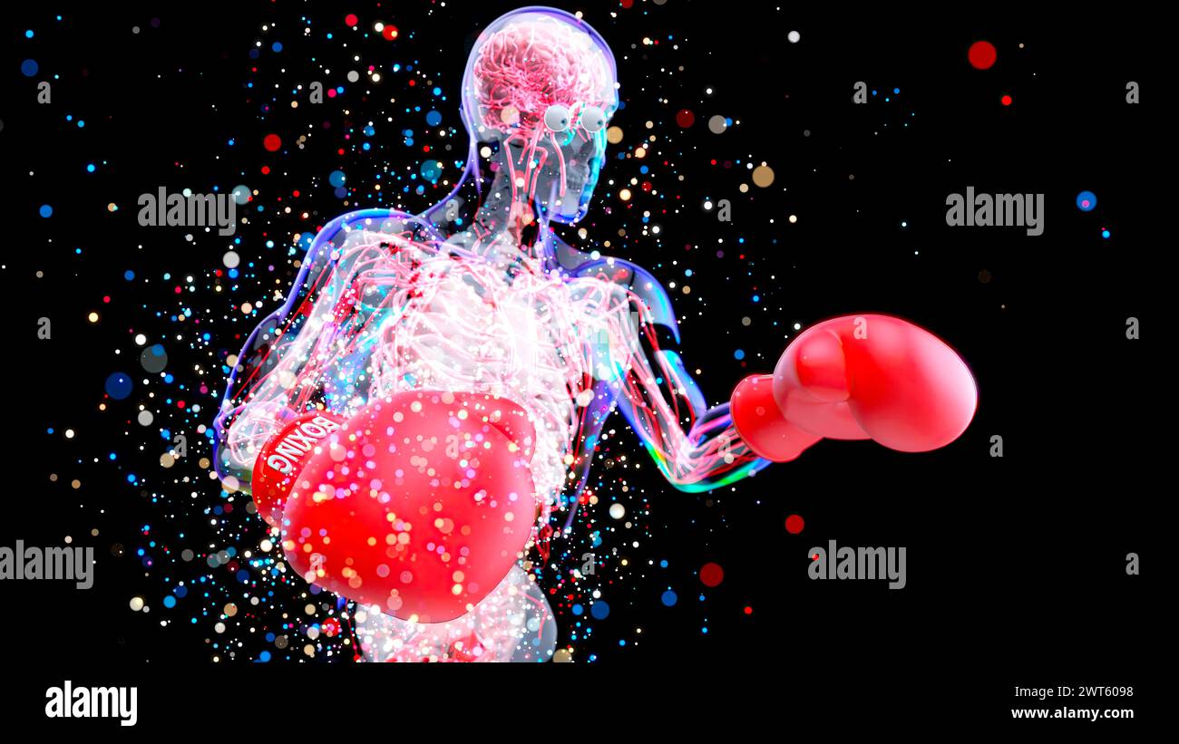 Skeleton with boxing gloves hi-res stock photography and images - Alamy