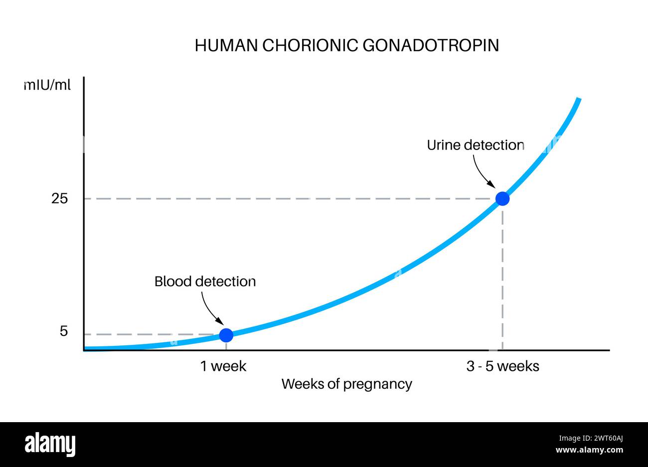 Human chorionic gonadotropin (hCG) level rising. Detection of HCG in ...