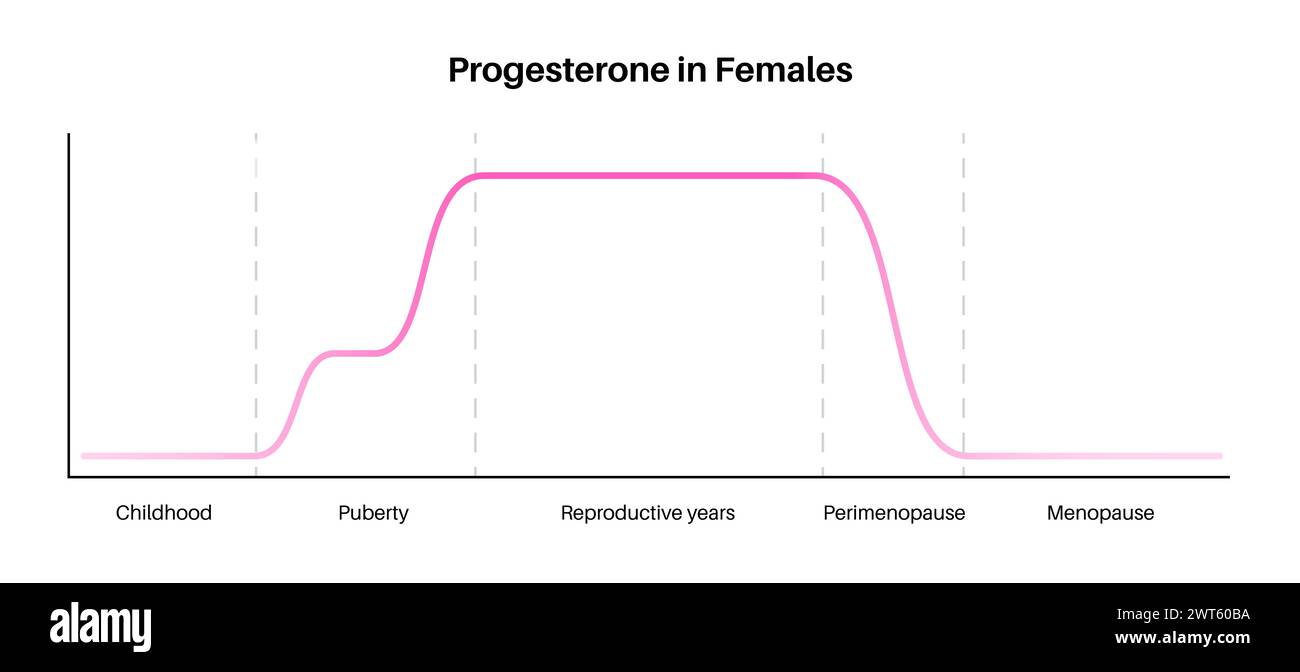 Female progesterone hormone lifecycle, illustration. Progesterone ...