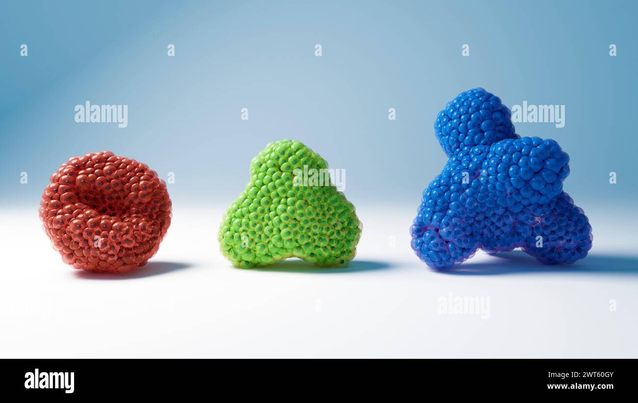 Organoid morphologies. Illustration of stomatocyte (left), budding ...