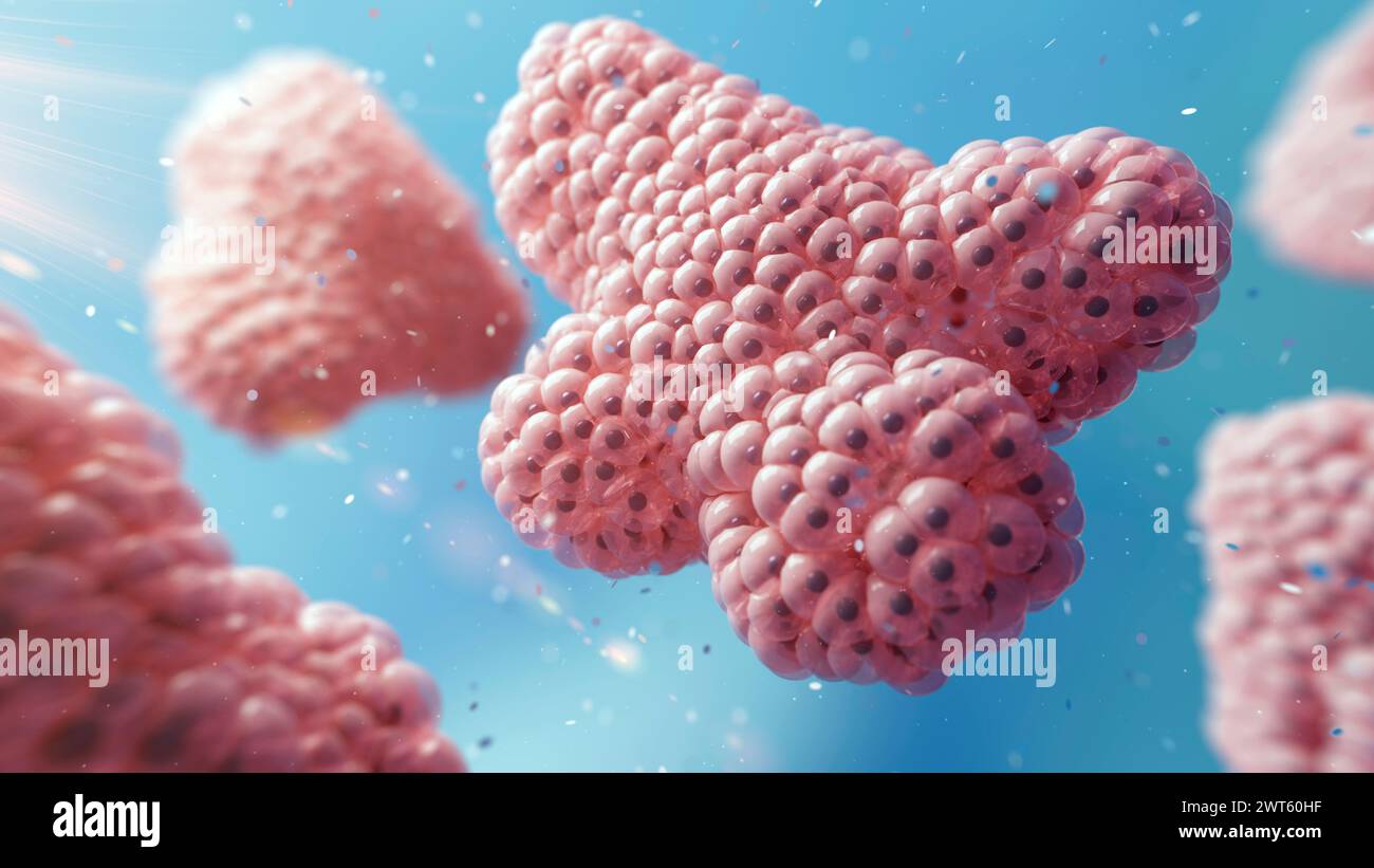 Organoid based hi-res stock photography and images - Alamy
