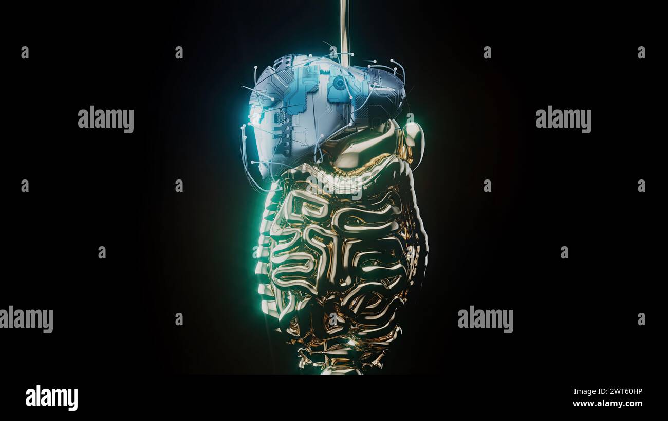 Liver transplant anatomy hi-res stock photography and images - Alamy