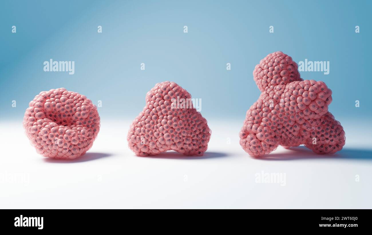 Organoid morphologies hi-res stock photography and images - Alamy