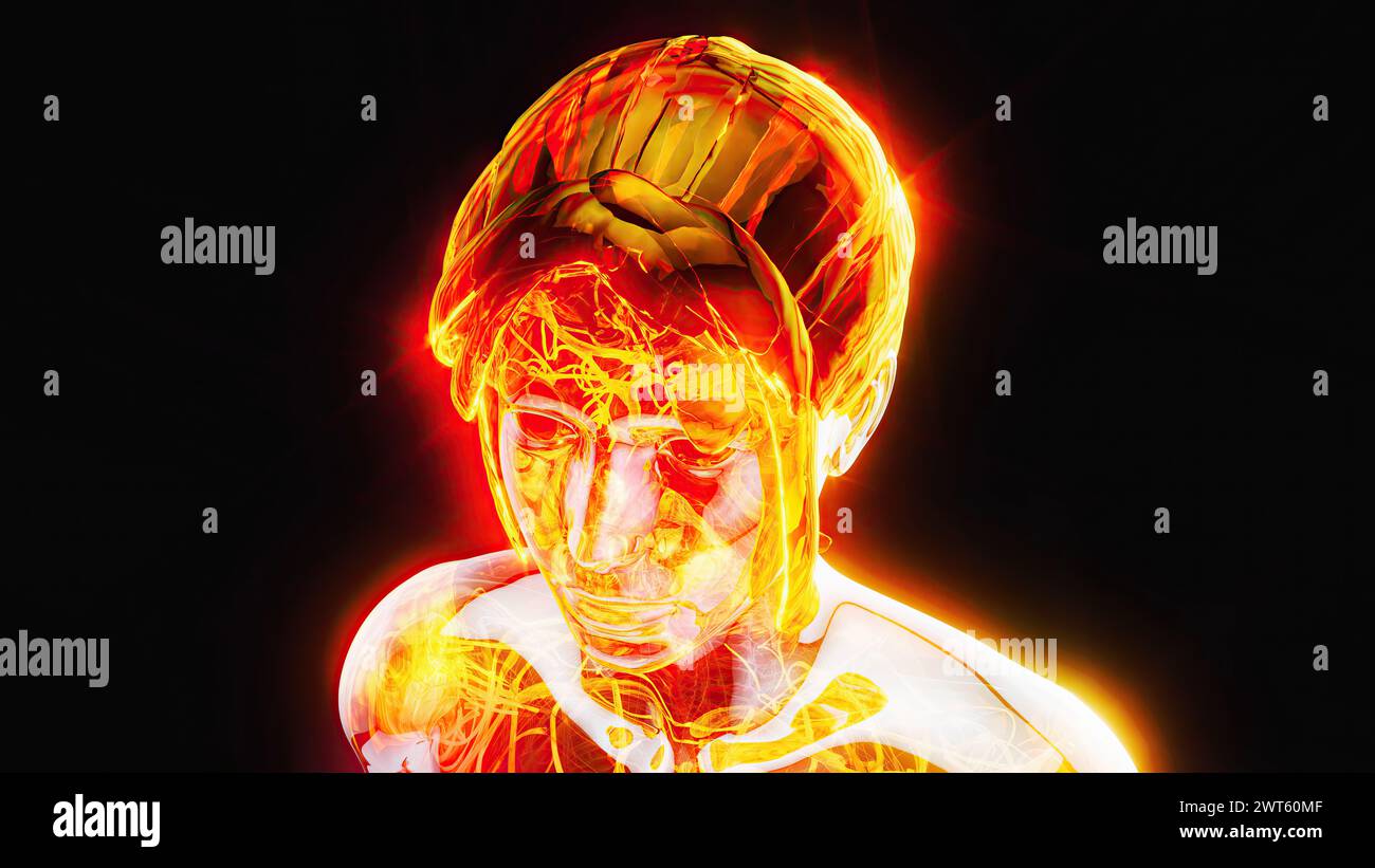 Female head, illustration Stock Photo - Alamy