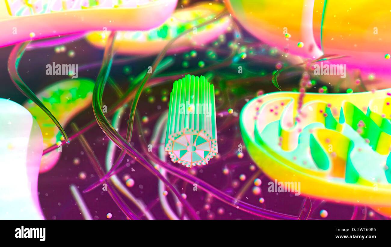 Illustration of an animal cell focusing on a centriole (centre ...