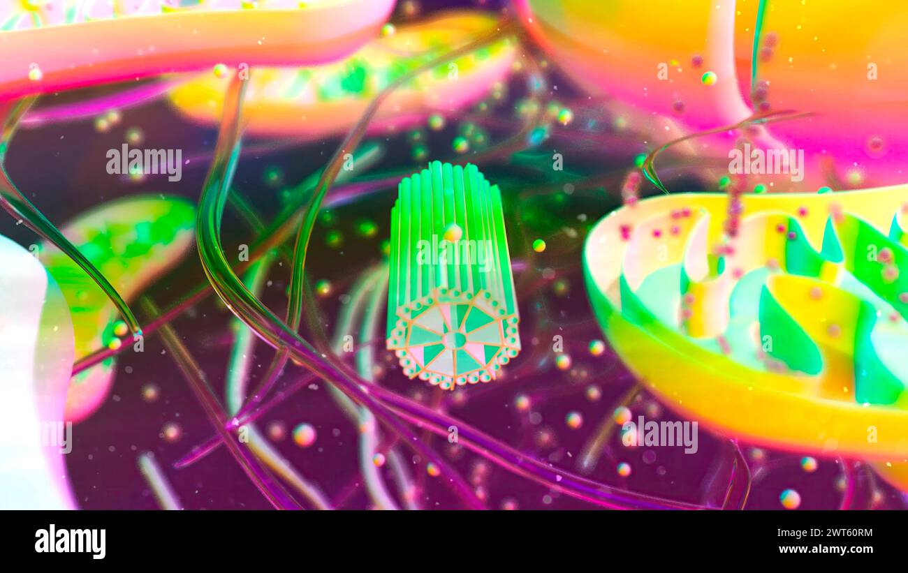 Illustration of an animal cell focusing on a centriole (centre ...