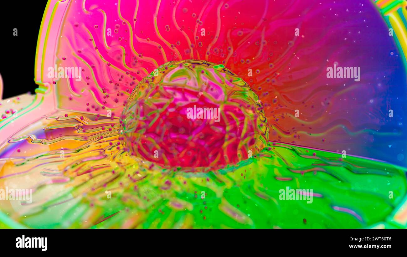 Illustration of the nucleus and nucleolus of an animal cell. The ...