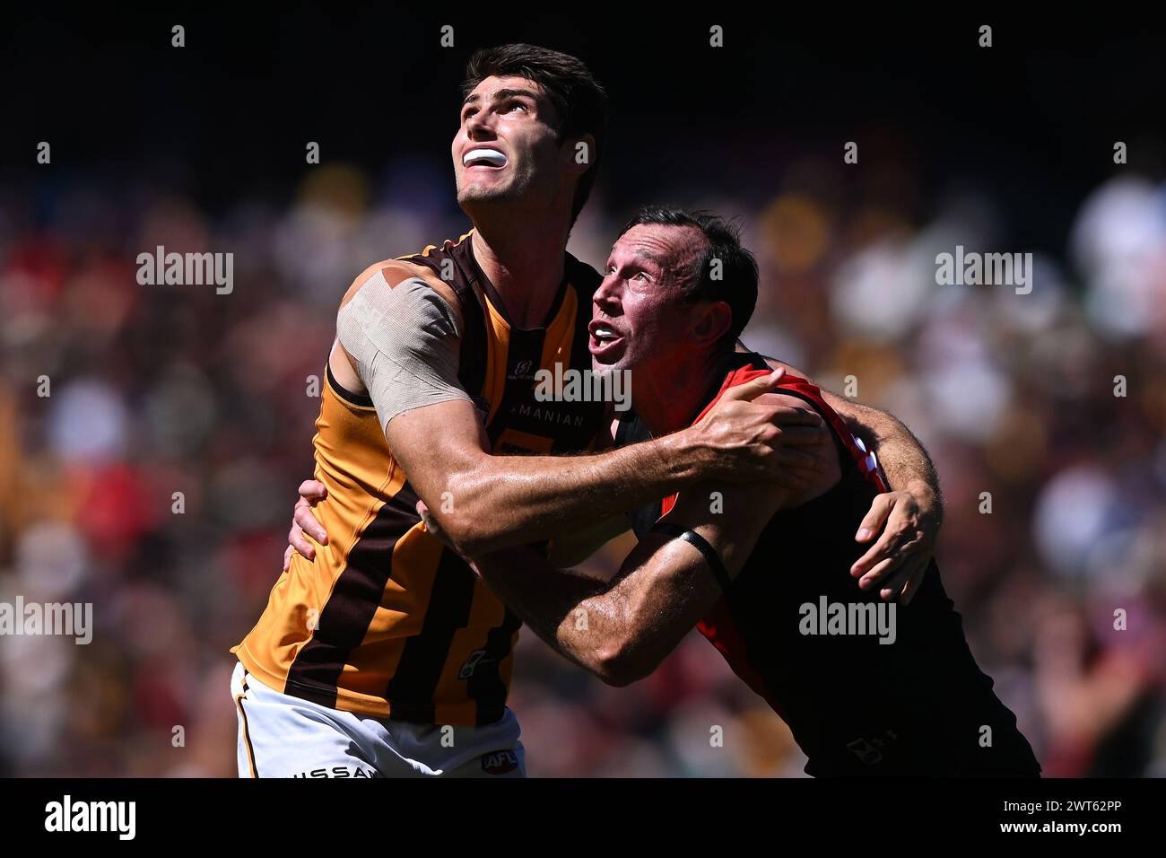 Melbourne, Australia. 16th Mar, 2024. Ned Reeves of the Hawks (left ...