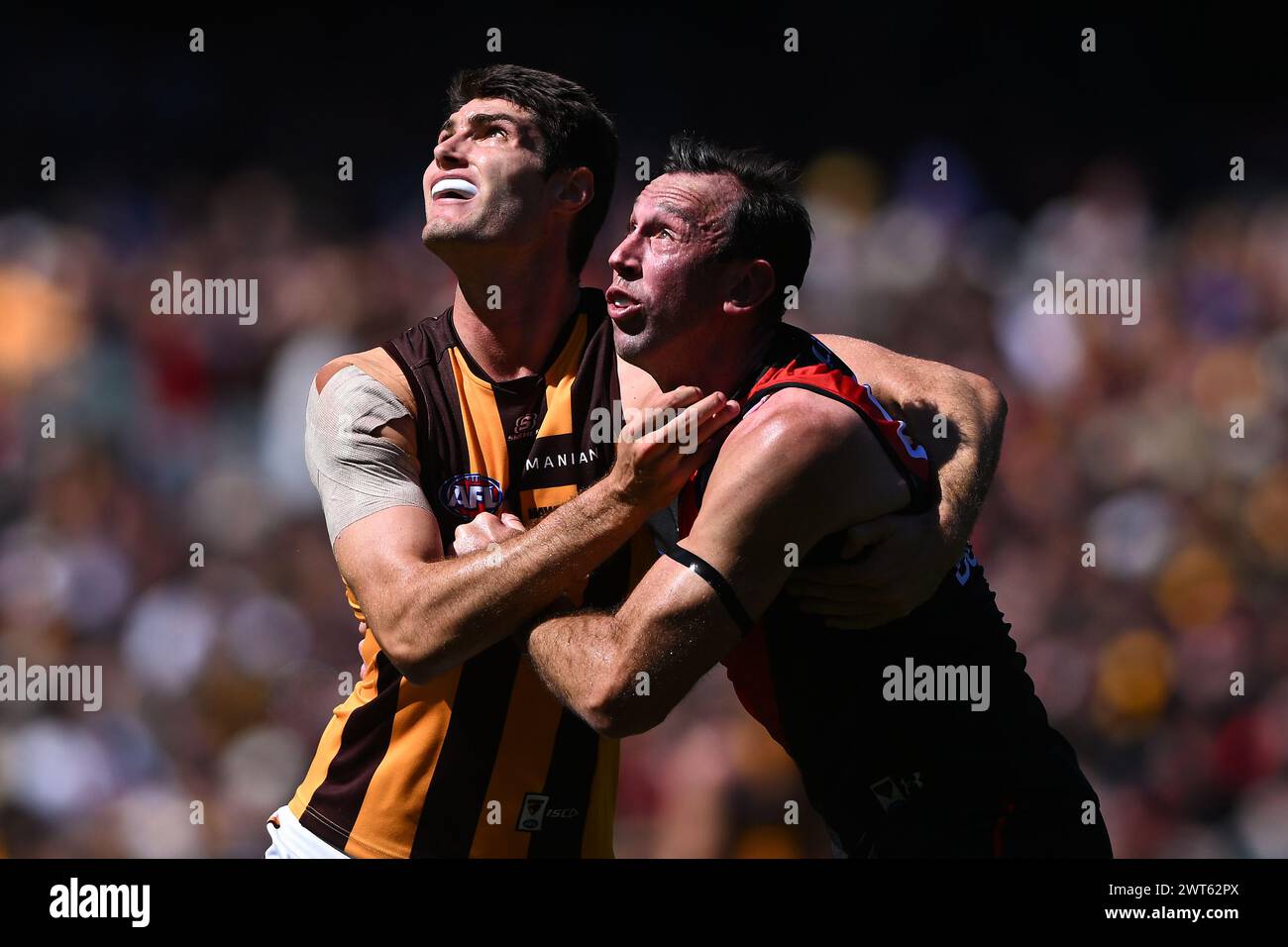 Melbourne, Australia. 16th Mar, 2024. Ned Reeves of the Hawks (left ...