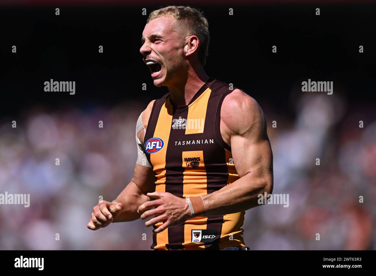 Melbourne, Australia. 16th Mar, 2024. James Worpel of the Hawks reacts ...