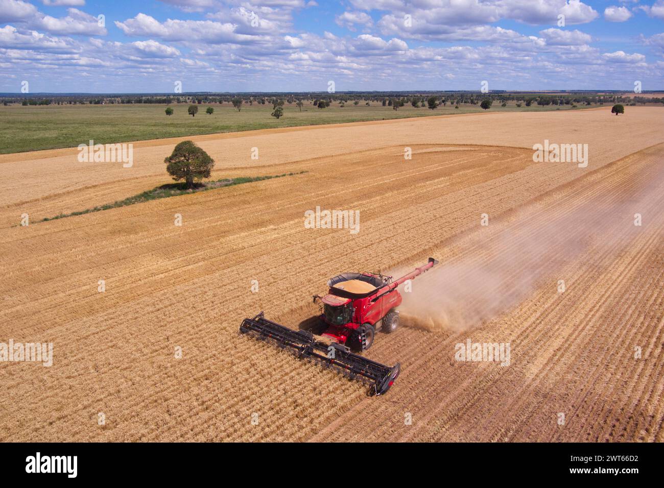 Aerial of combine harvester wheat harvesting Wallumbilla on the Maranoa ...