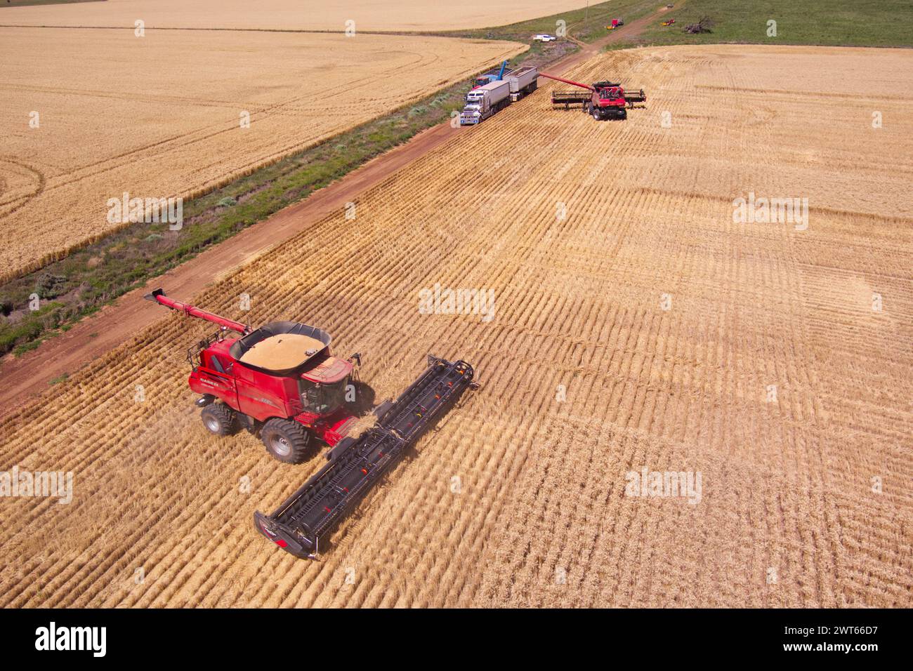 Aerial of combine harvester wheat harvesting Wallumbilla on the Maranoa ...