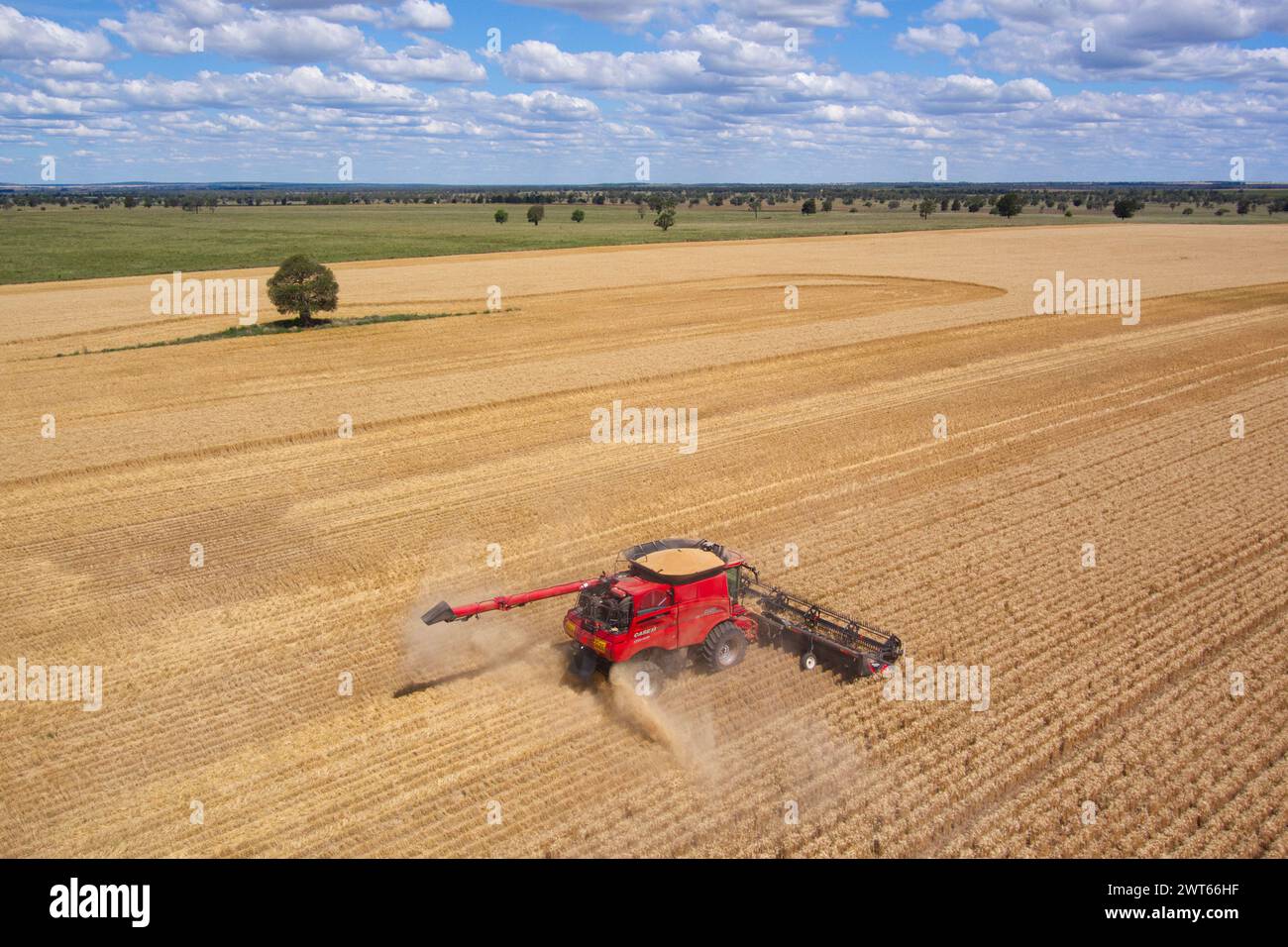 Aerial of combine harvester wheat harvesting Wallumbilla on the Maranoa ...