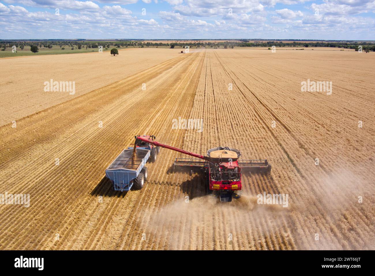 Aerial of combine harvester unloading wheat into a bin chaser near ...