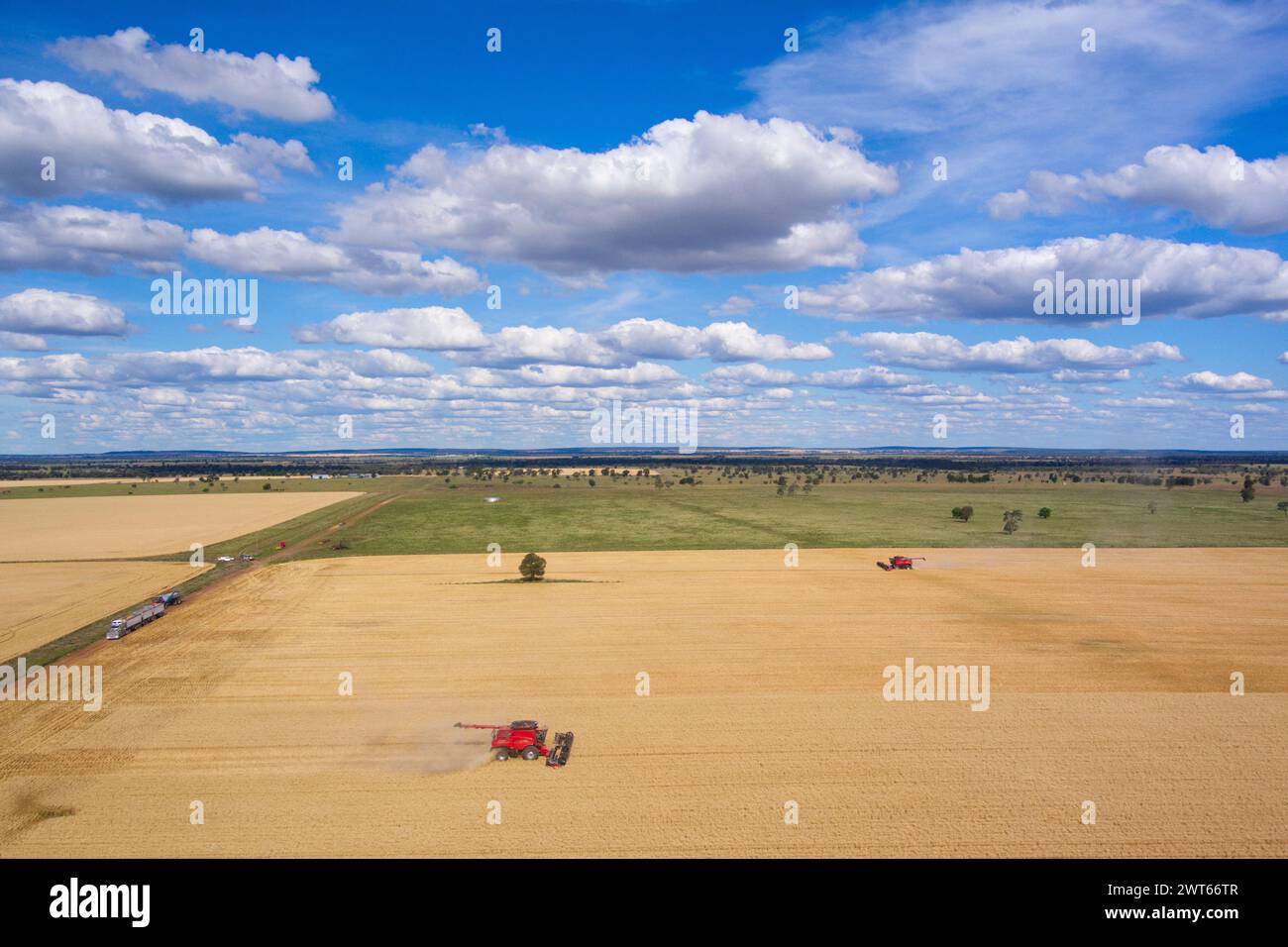 Aerial of combine harvester wheat harvesting near Wallumbilla on the ...