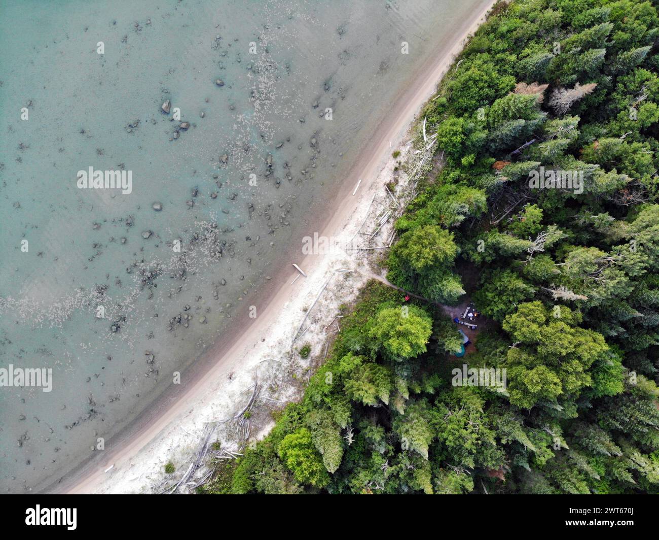 Top-down view of remote beach on Lake Superior with a pine forest and ...