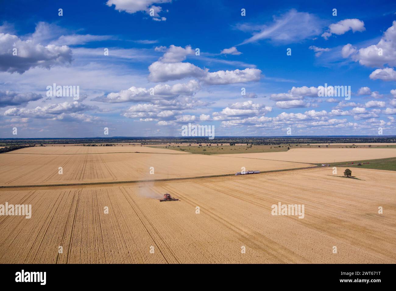 Aerial of combine harvester wheat harvesting near Wallumbilla on the ...