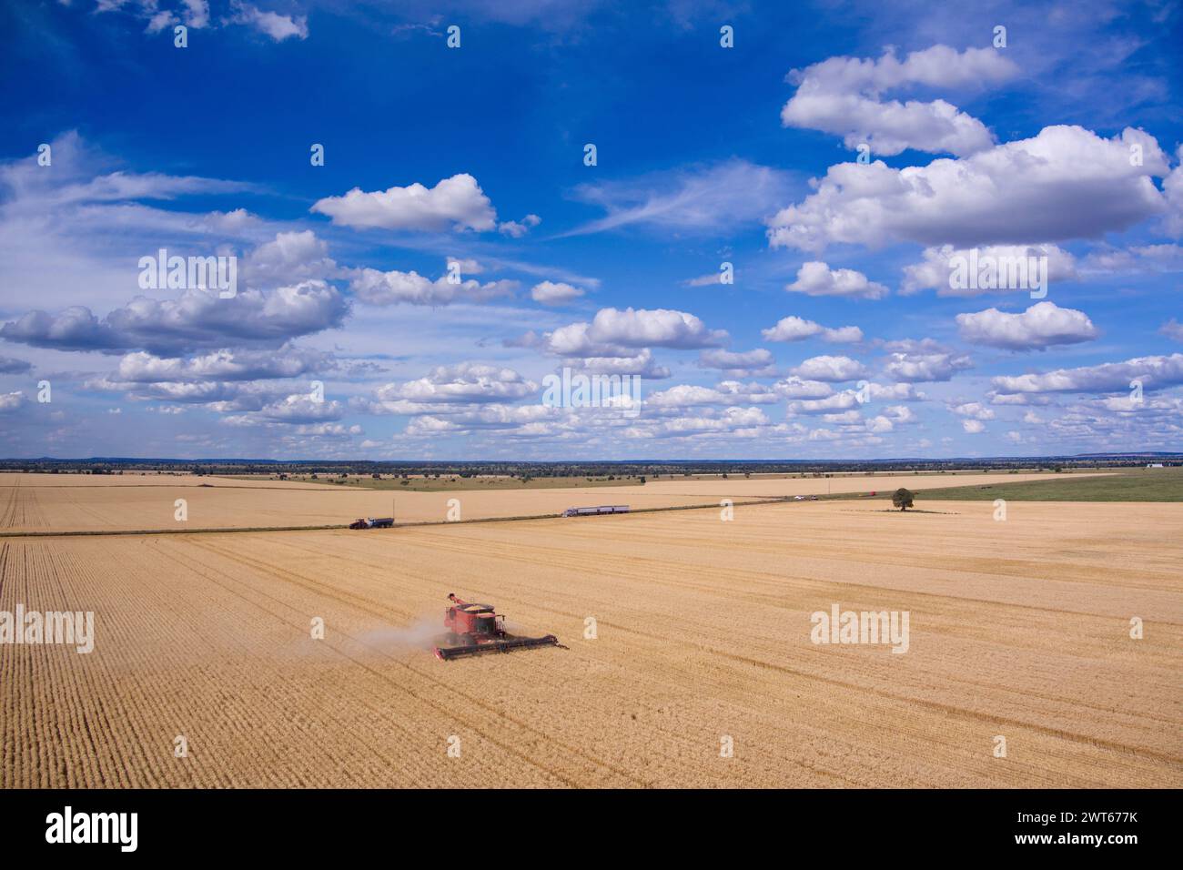 Aerial of combine harvester unloading into a bin chaser harvested wheat ...