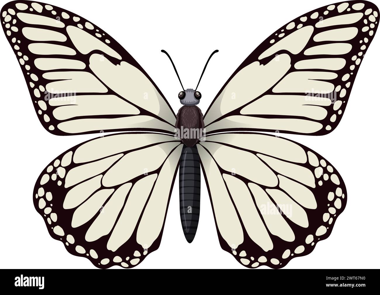 Vector graphic of a detailed monarch butterfly Stock Vector Image & Art ...